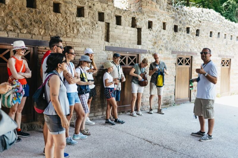 From Naples: Pompeii Ruins & Mount Vesuvius Day Tour - Key Points