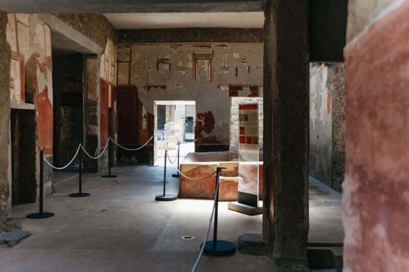 From Naples: Pompeii Ruins & Mount Vesuvius Day Tour - Who Will Enjoy This Tour?