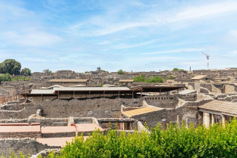 From Naples: Pompeii Ruins & Mount Vesuvius Day Tour - Final Thoughts