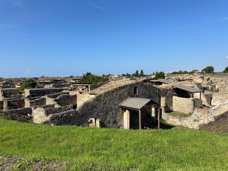 From Naples: Pompeii Ruins & Naples Walking Tour - Practical Details & Logistics