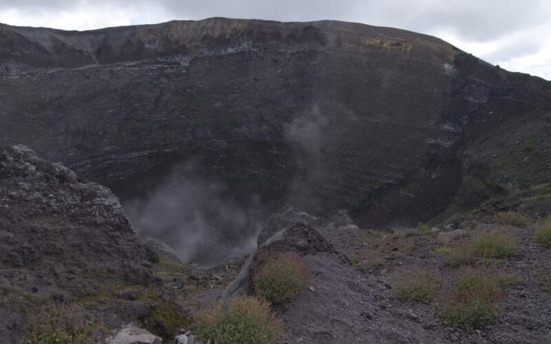 From Naples: Pompeii, Vesuvius, Wine Tasting & Light Lunch - Pricing and Value: Is It Worth It?