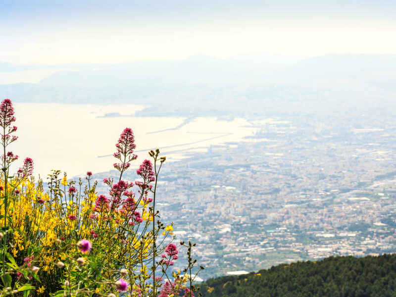 From Naples Port: Vesuvius and Pompeii Tour with Tickets - Key Points