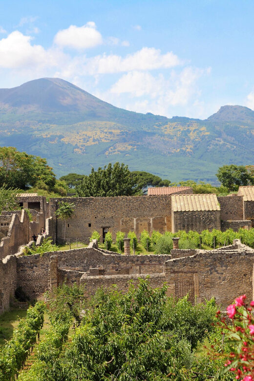 From Naples Port:Pompeii+Vesuvius tour - Real Traveler Perspectives