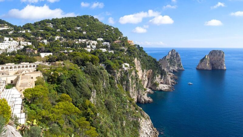 from Naples: Small-Group Boat Excursion to Capri Island - Key Points
