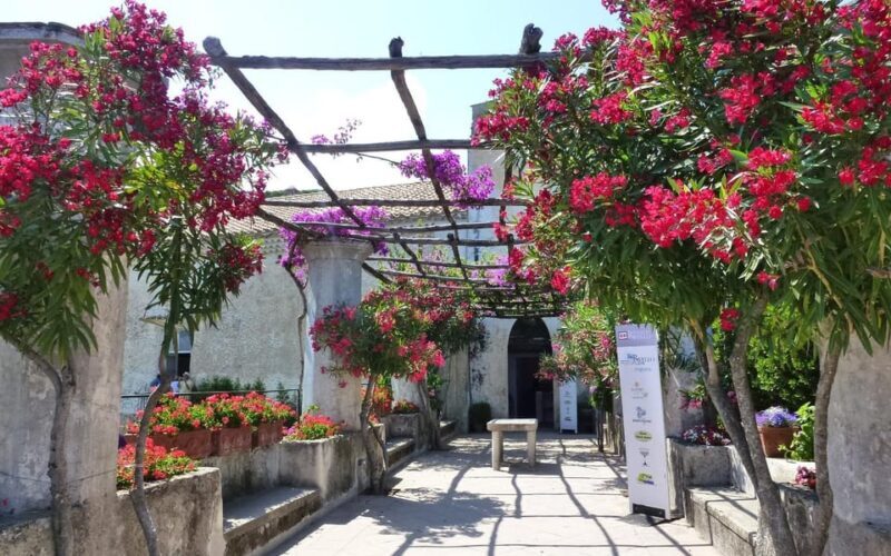 From Naples: Sorrento and amalfi coast, lunch included - An In-Depth Look at the Tour Experience