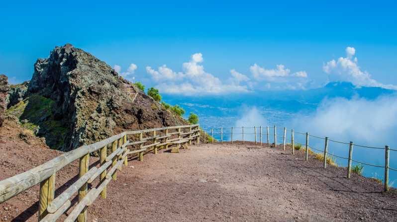 From Naples: Vesuvius and Herculaneum Day Trip with Tickets - A Practical Overview of the Tour