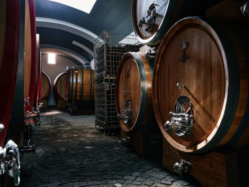 From Naples: Wine Tasting Tour on Vesuvius Slopes with Lunch - Authenticity and Value