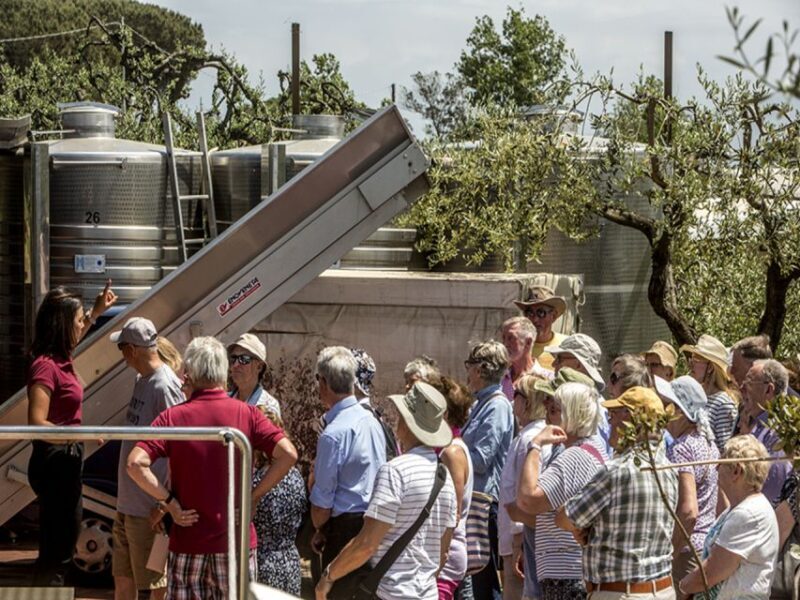 From Naples: Wine Tasting Tour on Vesuvius Slopes with Lunch - Final Thoughts: Is It Worth It?