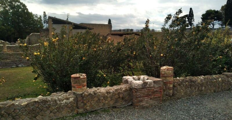 From Naples with 2hr stop at Herculaneum site and Back - Discovering the Charm of the Tour