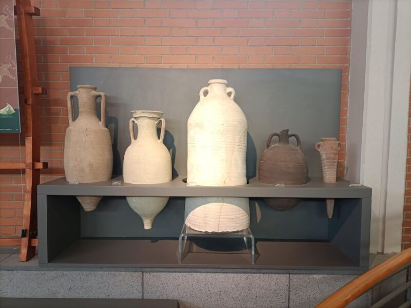 From Naples with 2hr stop at Herculaneum site and Back - What Does the Experience Feel Like?