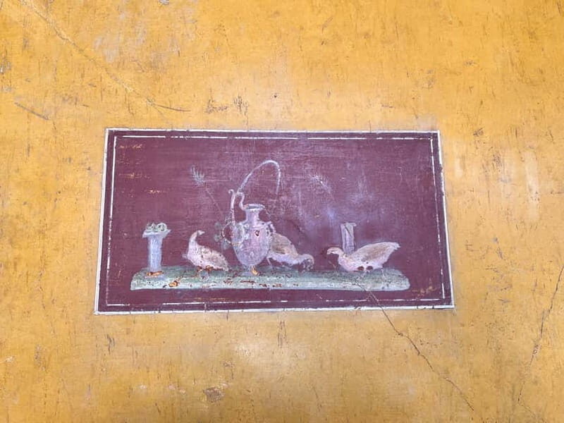 From Napoli: Driver and Skip the Line Guided Tour of Pompeii - Final Thoughts