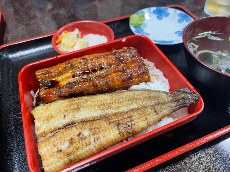From Narita Airport: Private Layover or Transit Guided Tour - Real Traveler Insights and Highlights