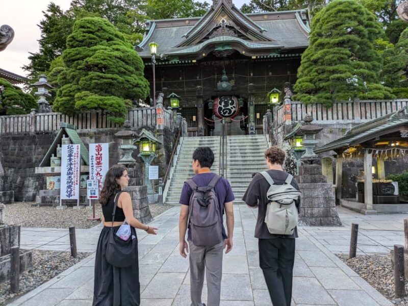 From Narita Airport: Private Layover or Transit Guided Tour - FAQ