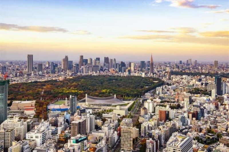 From Narita:Tokyo Layover Tour with Licensed Guide&Vehicle - Introduction: Why This Tour Might Be Just What You Need