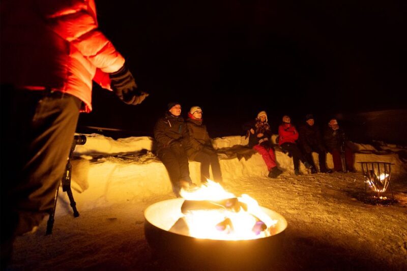 From Narvik: The Northern Lights Arctic Train Guided Tour - Key Points