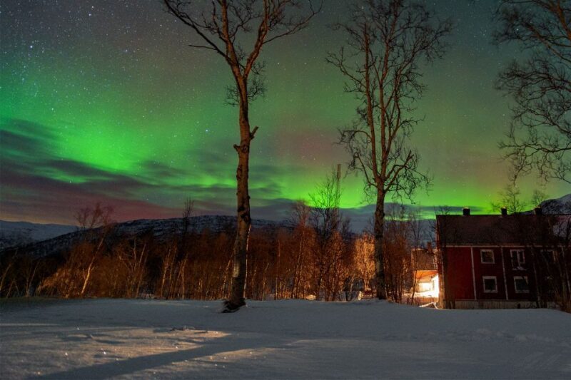 From Narvik: The Northern Lights Arctic Train Guided Tour - FAQ