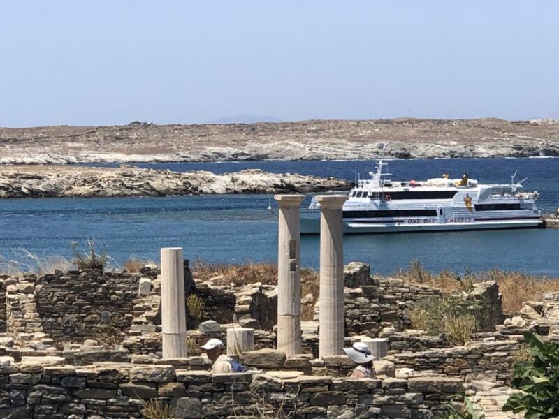 From Naxos: Delos and Mykonos Day Trip with Licensed Guide - A Detailed Look at the Experience