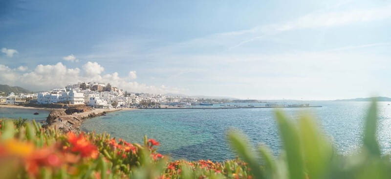 From Naxos: Delos and Mykonos Full-Day Trip by Catamaran - What to Expect Onboard and During Stops