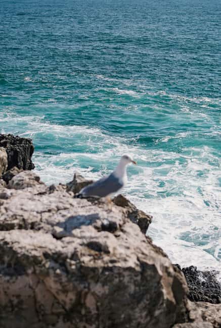 From Nazaré: Private Tour to Worlds Biggest Waves - Exploring the Private Tour to Nazaré’s Big Waves: A Closer Look