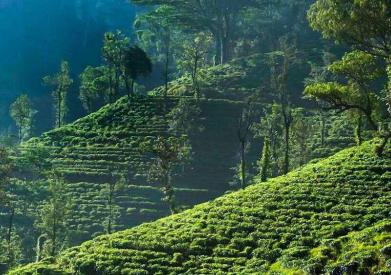 From Negombo: 2-Day Nuwara Eliya, Kandy, & Waterfalls Tour - Key Points