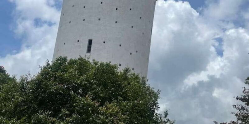 From Negombo: Ambuluwawa Tower & Tea Factory,Kandy Day Trip - Final Thoughts