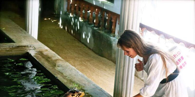 From Negombo: Bentota Full-Day Tour - An In-Depth Look at the Bentota Day Tour