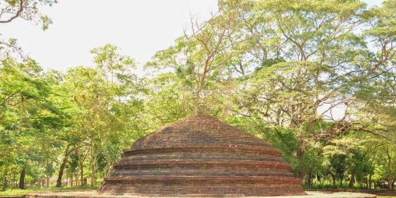 From Negombo: Dambadeniya, Yapahuwa, and Panduwasnuwara Tour - The Value of This Tour and Who It Suits