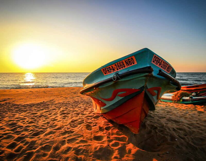 From Negombo: Negombo and Colombo Day Tour - Transition to Colombo: The Urban Pulse