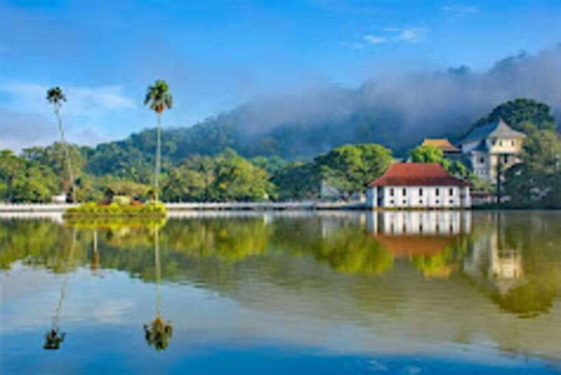 From Negombo : Pinnawala & Tea Factory & Kandy Full Day Trip - Introduction: A Practical Look at the Negombo to Kandy Full-Day Tour