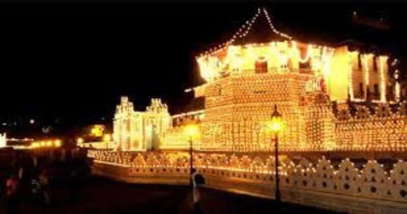 From Negombo : Pinnawala & Tea Factory & Kandy Full Day Trip - Practical Tips for the Day