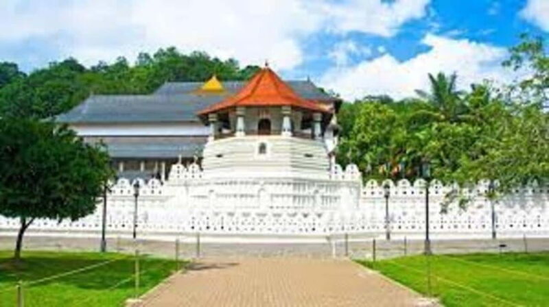 From Negombo : Pinnawala & Tea Factory & Kandy Full Day Trip - The Sum Up: Is This Tour Right for You?