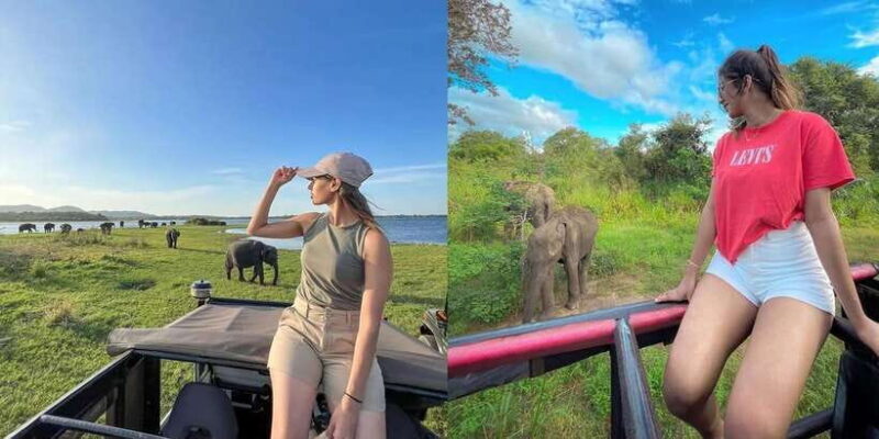 From Negombo: Sigiriya Dambulla and Village Safari Day Tour - Who Will Appreciate This Tour?