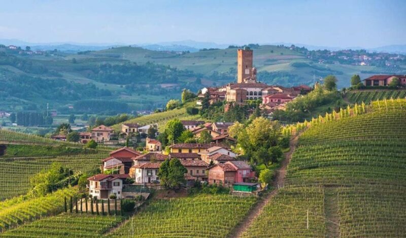 From Neive: Guided E-Bike Tour to Barbaresco and Treiso - A Thoughtful Spin Through Piedmonts Vineyards: From Neive’s Guided E-Bike Tour to Barbaresco and Treiso