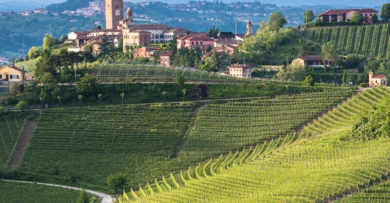 From Neive: Guided E-Bike Tour to Barbaresco and Treiso - Key Points