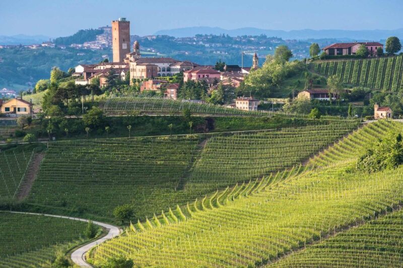 From Neive: Guided E-Bike Tour to Barbaresco and Treiso - Who Would Love This Tour?