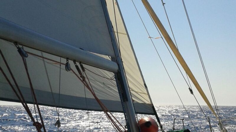 From Neos Marmaras: Halkidiki Islets and Coves Cruise - Flexibility and Itinerary
