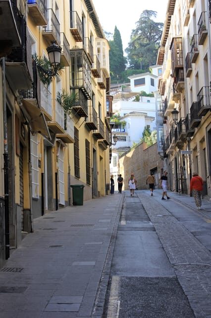 From Nerja/Almunecar: Granada Full-Day Trip - Key Points