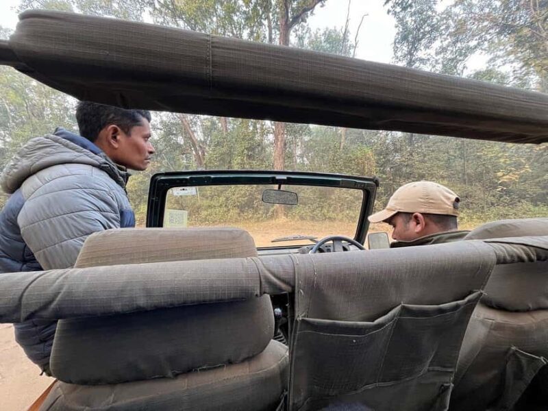 From New Delhi: 2-Day Ranthambore Tiger Safari with tranfers - Final Thoughts