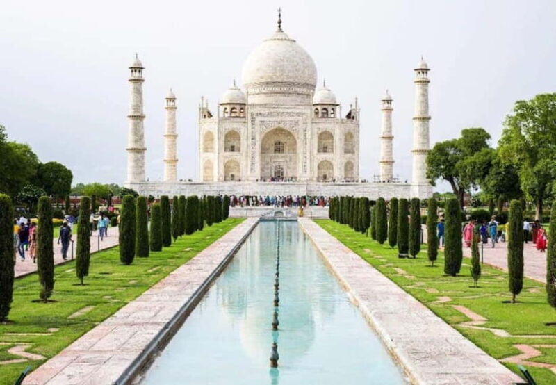 From New Delhi: Taj Mahal Sunrise Tour and Elephant Wildlife - Final Thoughts