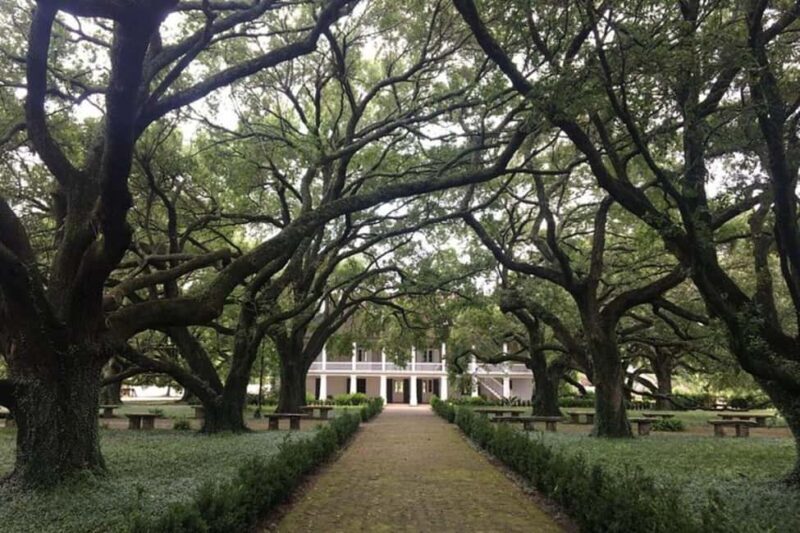 From New Orleans: Oak Alley and Laura Plantation Guided Tour - Frequently Asked Questions (FAQs)