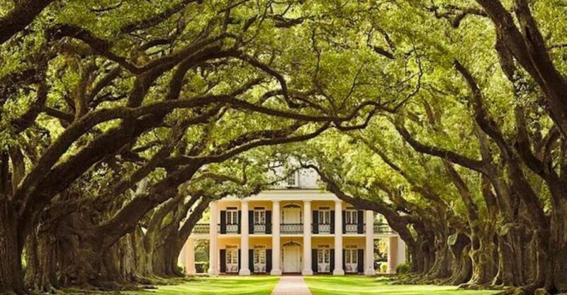From New Orleans: Oak Alley or Laura Plantation Tour - How the Tour Works and What You Can Expect