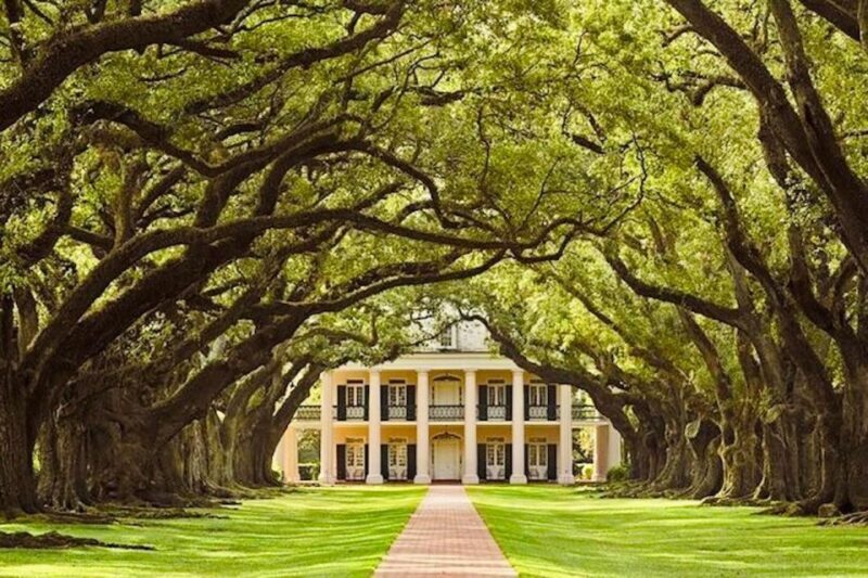 From New Orleans: Oak Alley or Laura Plantation Tour - Transport, Timing, and Practical Details