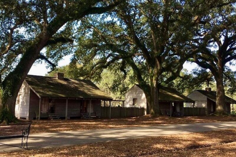 From New Orleans: Oak Alley or Laura Plantation Tour - Honest Review: Pros, Cons, and Who Will Love It