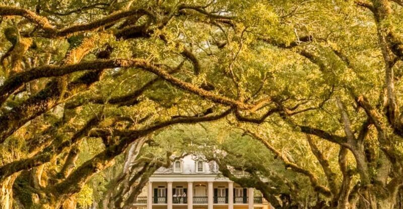 From New Orleans: Oak Alley Plantation Tour - Key Points