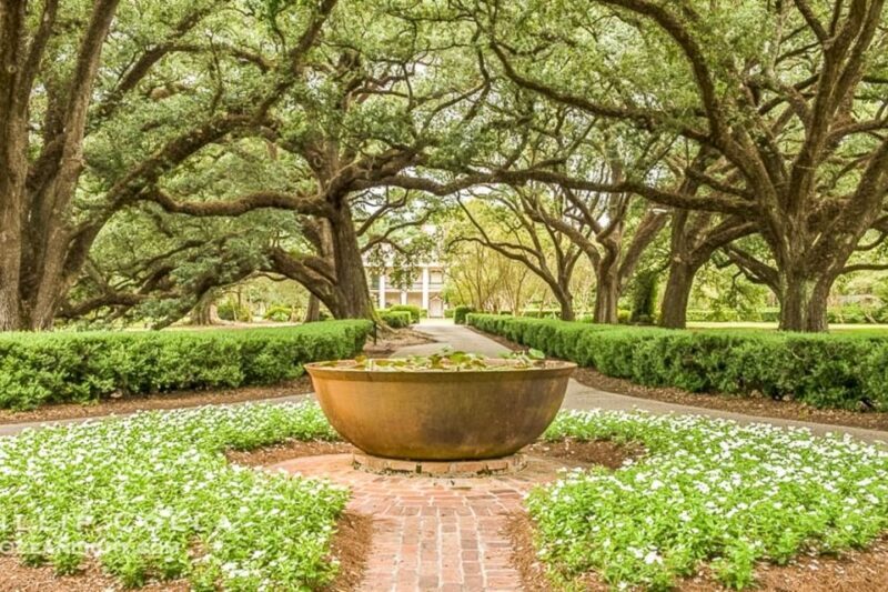 From New Orleans: Oak Alley Plantation Tour - Who Will Enjoy This Tour?