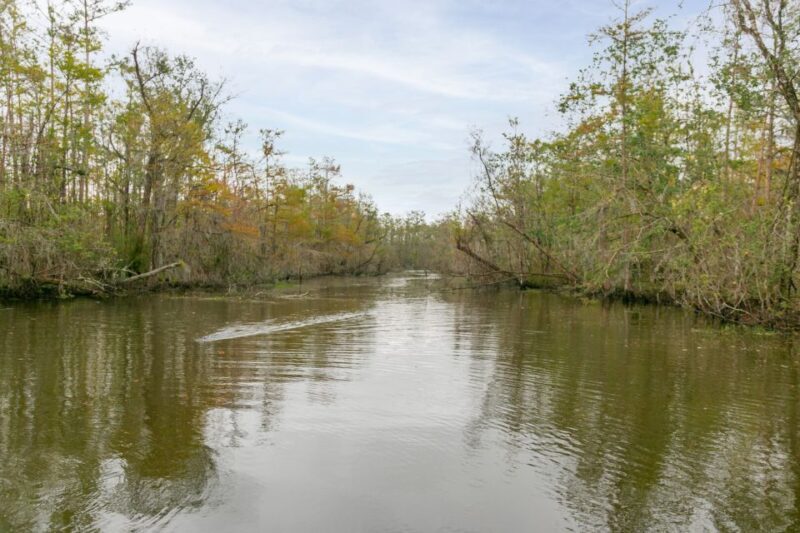 From New Orleans: Swamp Airboat, 2 Plantation Tours & Lunch - Who Will Love This Tour?