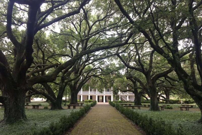 From New Orleans: Whitney Plantation and Airboat Tour Combo - An Honest Look at the Tour Itinerary and Experience