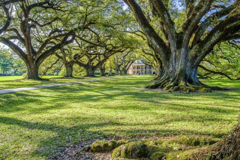 From New Orleans: Whitney Plantation Ticket & Transportation - Deep Dive into the Details