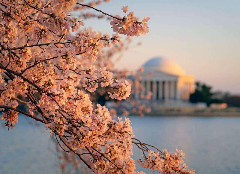 From New York: 7-Day Guided East Coast Cities & Sites Tour - Value and Price Analysis: How Much is Included?