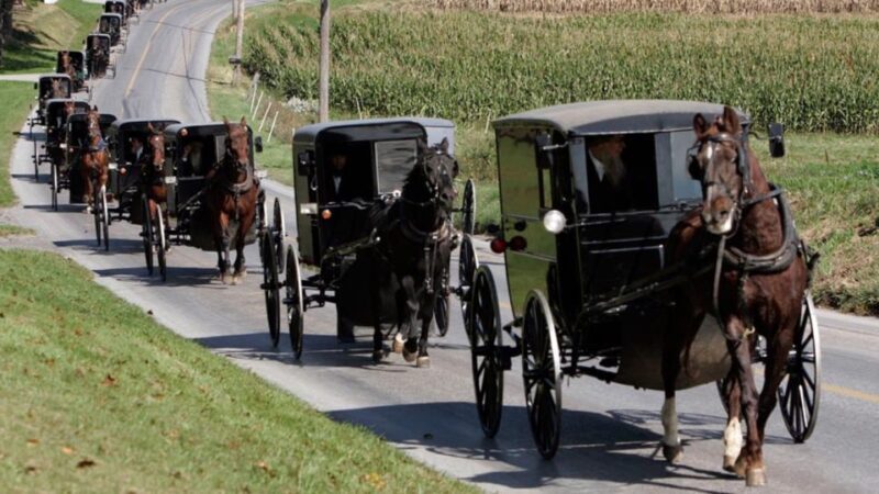 From New York City: Philadelphia & Amish Community Day Trip - Who Should Consider This Tour?